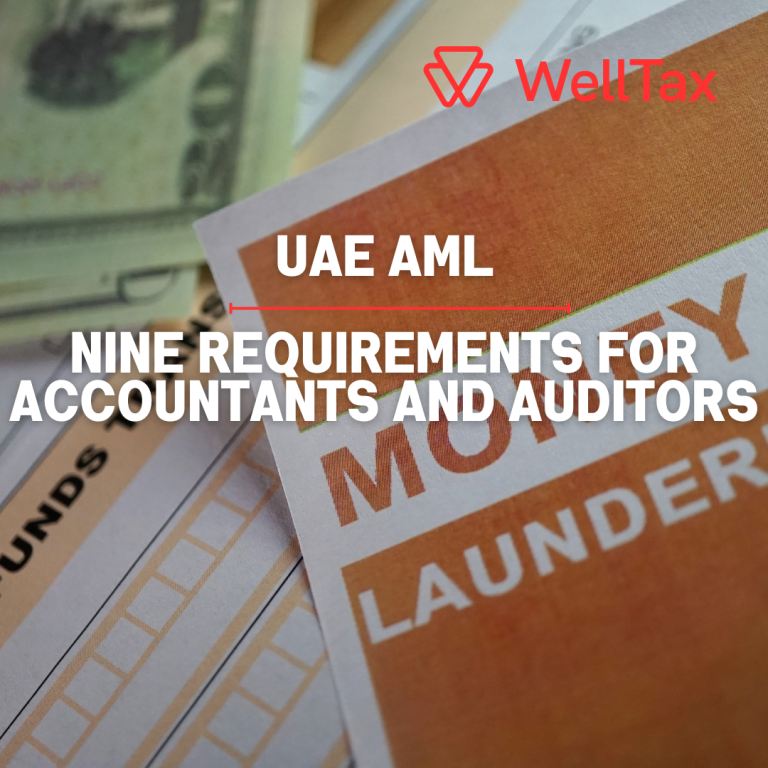 UAE AML: Nine Requirements for Accountants and Auditors - WellTax