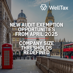 New Audit Exemption Opportunities from April 2025: Company Size ...