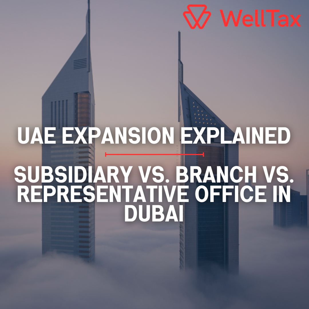 UAE Expansion Explained: Subsidiary vs. Branch vs. Representative ...